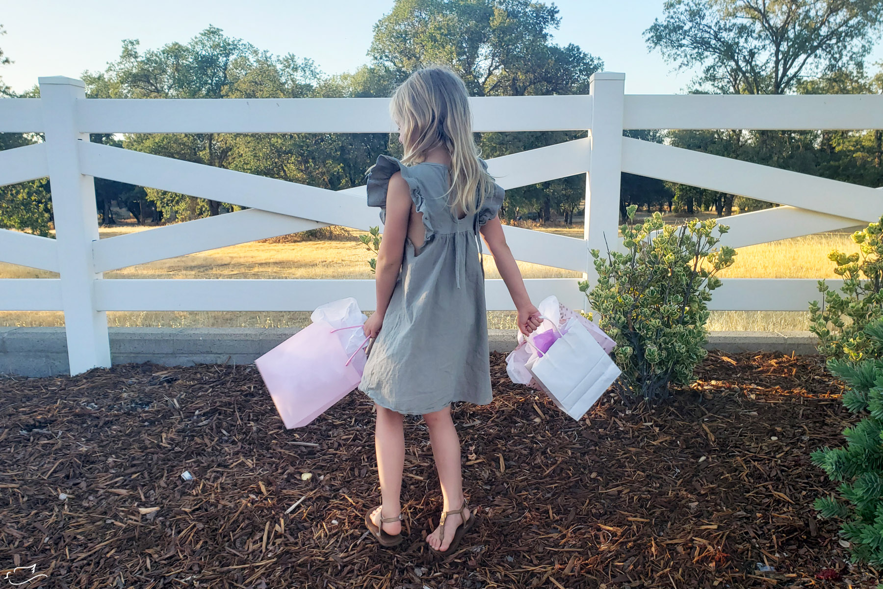 Holiday Gift Guide For Everyone On Your List Little Dove Blog