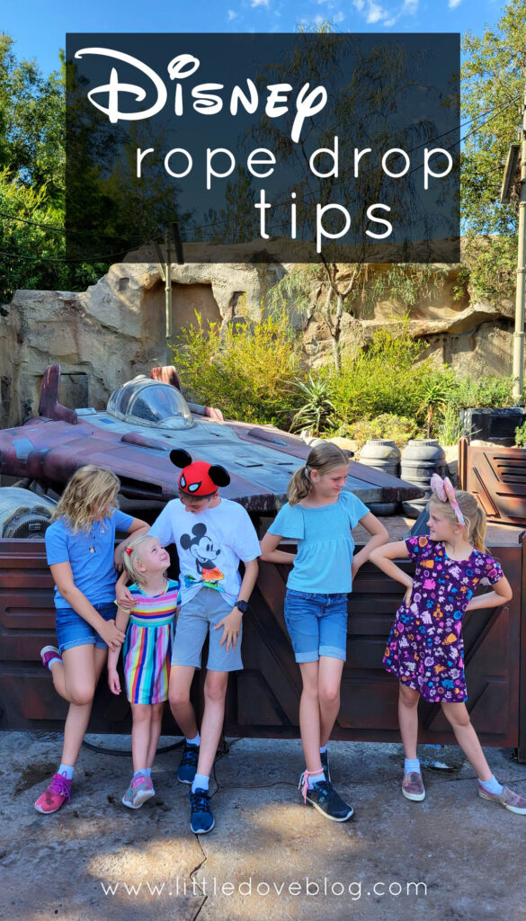 rope drop at Disneyland strategies and tips - Little Dove Blog