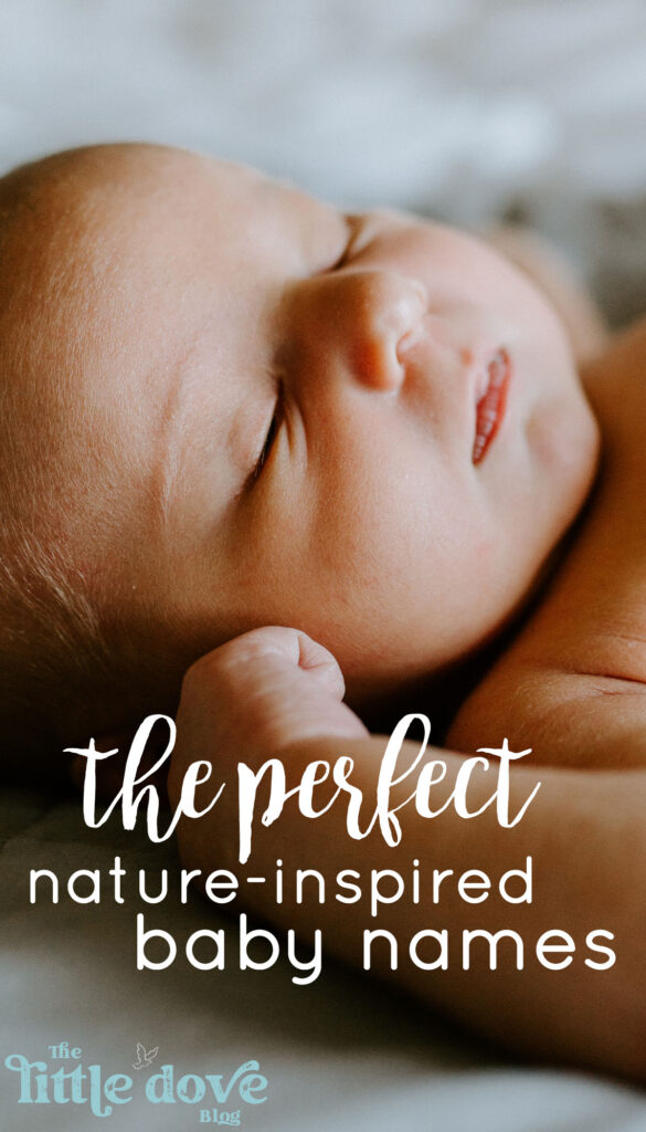 nature-inspired baby names - Little Dove Blog