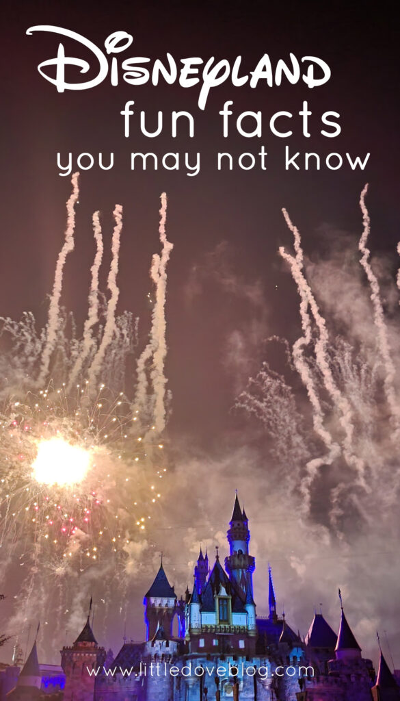 facts about Disneyland you may not know - Little Dove Blog