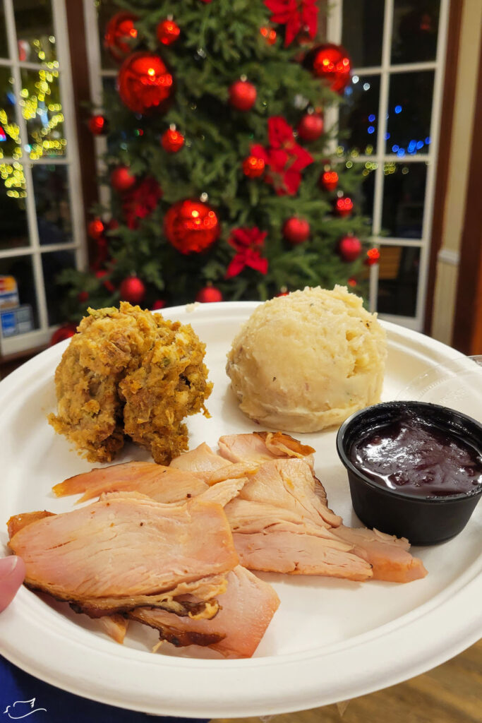WinterFest tips for California's Great America - Little Dove Blog