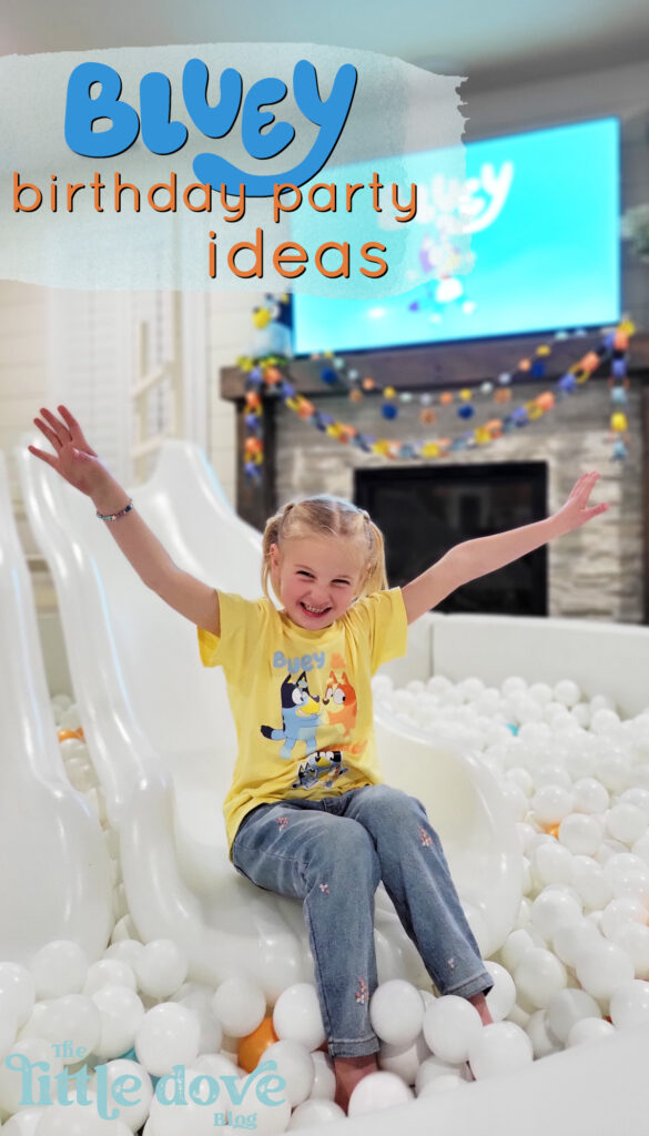 Bluey birthday party ideas - Little Dove Blog