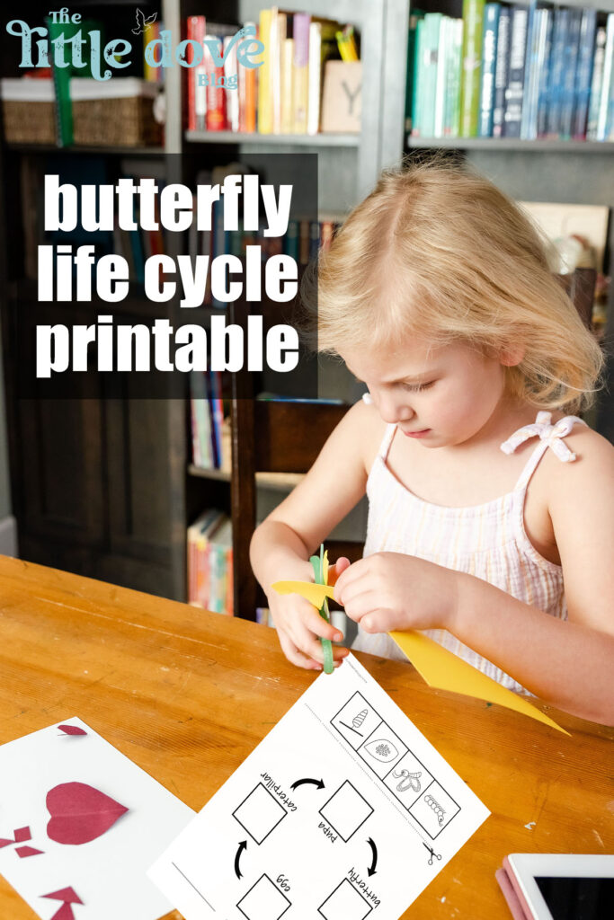 What Bugs Me Worksheet
