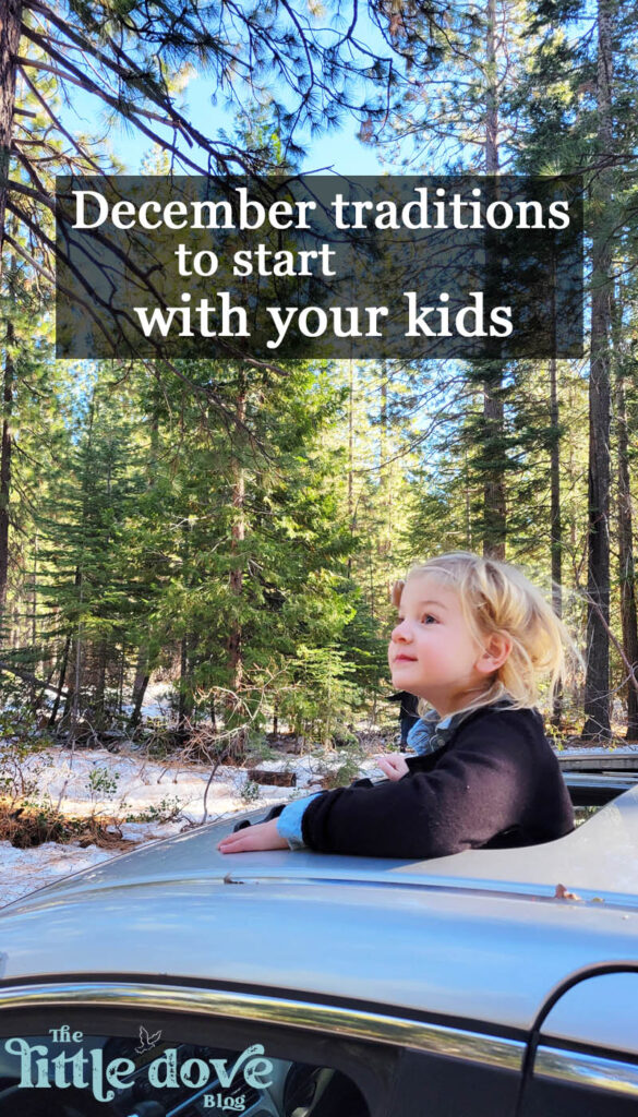 our favorite December activities with kids - Little Dove Blog