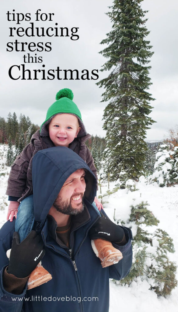 reduce stress this holiday season - Little Dove Blog
