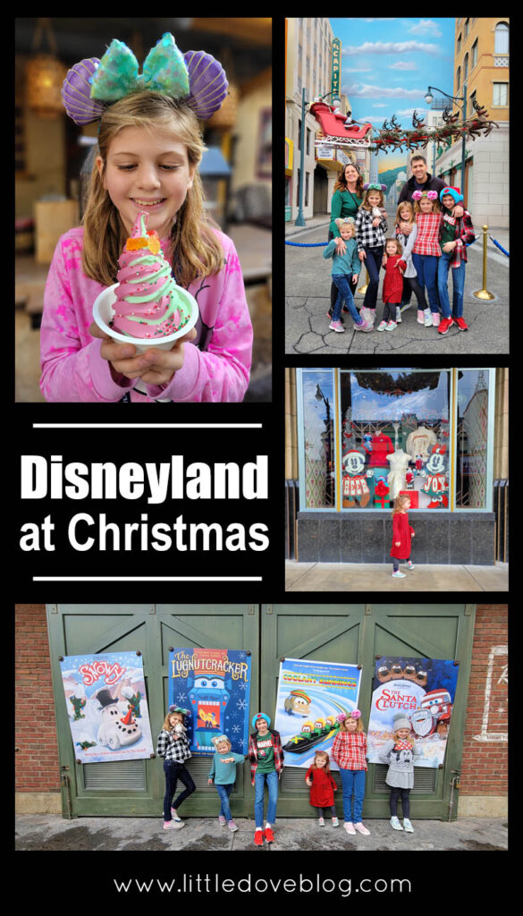 Disneyland at Christmas: everything you need to know - Little Dove Blog