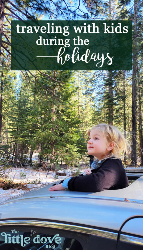 holiday travel tips for your family vacation - Little Dove Blog