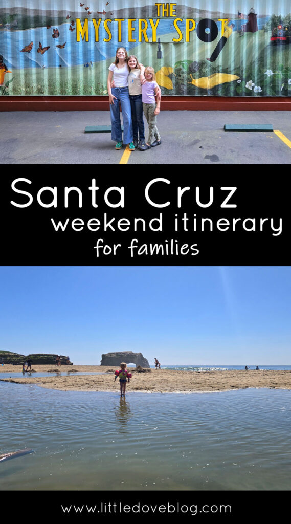 Santa Cruz weekend itinerary for families - Little Dove Blog